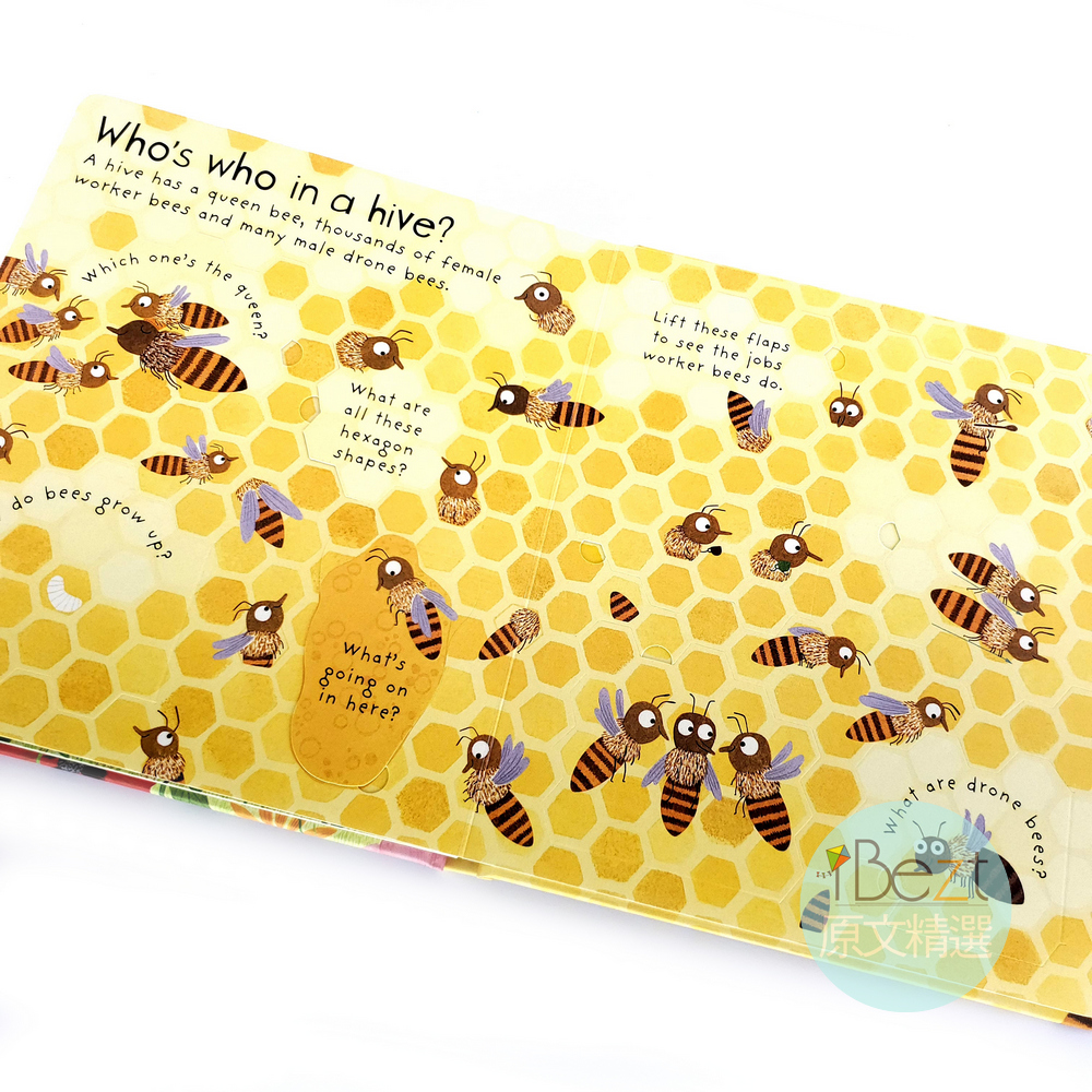 Why do we need bees Lift-the-Flap First Questions and Answers｜媽咪愛